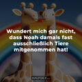 Wundert mich gar nicht, dass Noah damals fast... - Kaufdex